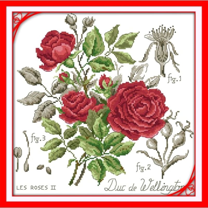 Red rose (2) – Needlework Kits - UK