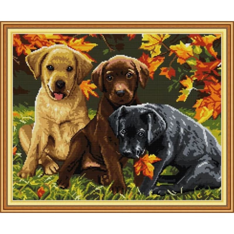 Three dogs 5 – Needlework Kits - UK